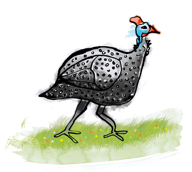 Campagne De geest van Overijssel - Studio BliQ illustratie en grafisch ...